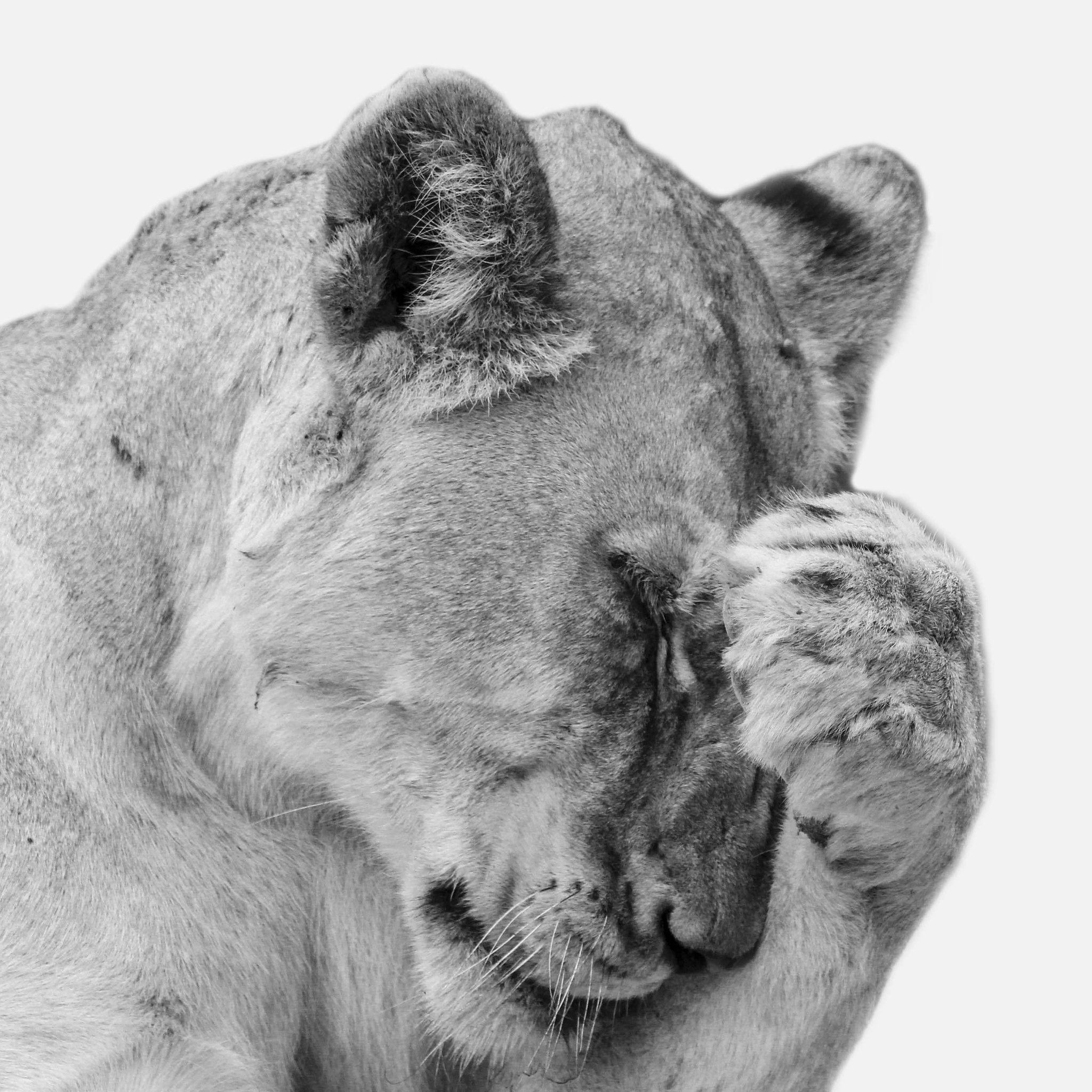 Winnie Harlow sucks | Lipstick Alley