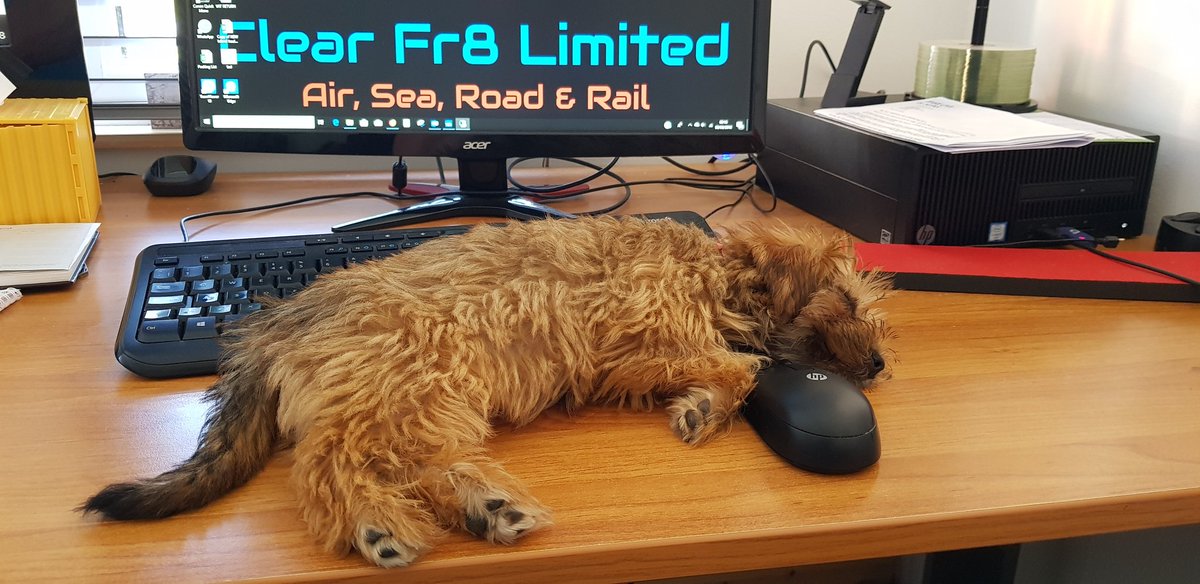 Clear Fr8 International Customs Clearance Freight Forwarding Logistics