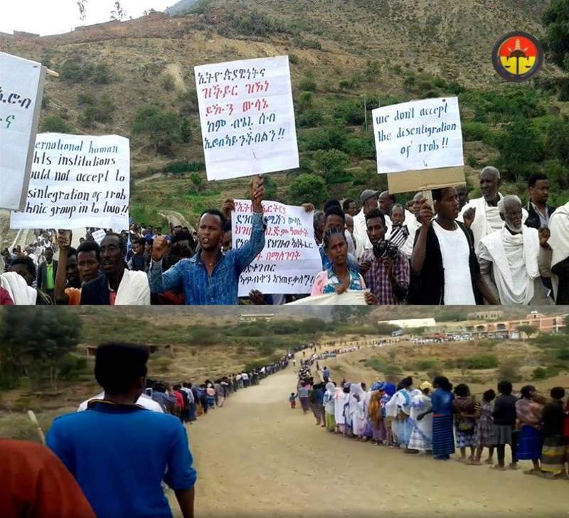 The Irob in Ethiopia today – The Irob People