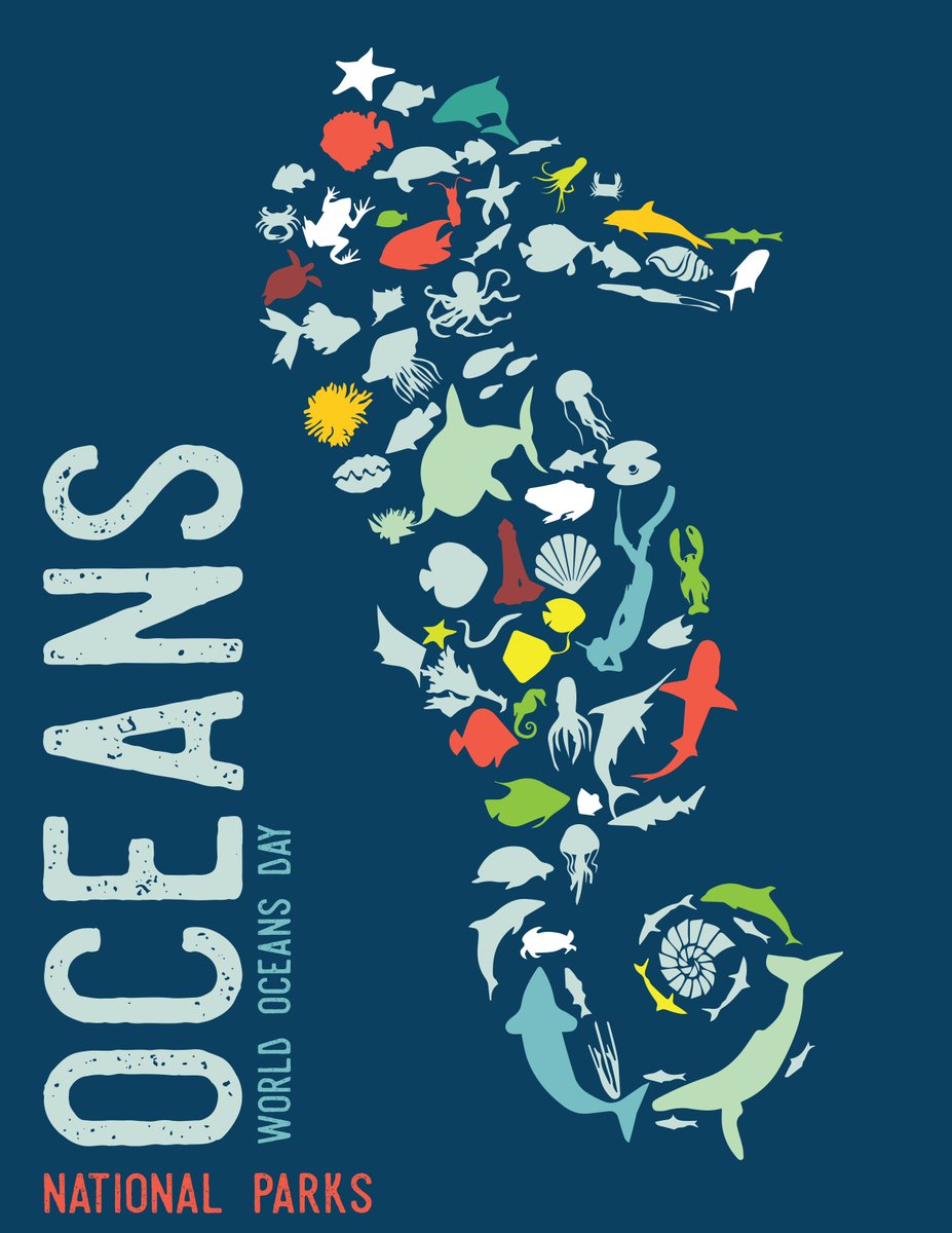 Olympic National Park & Hurricane Ridge Updates - Visit Port Angeles WA