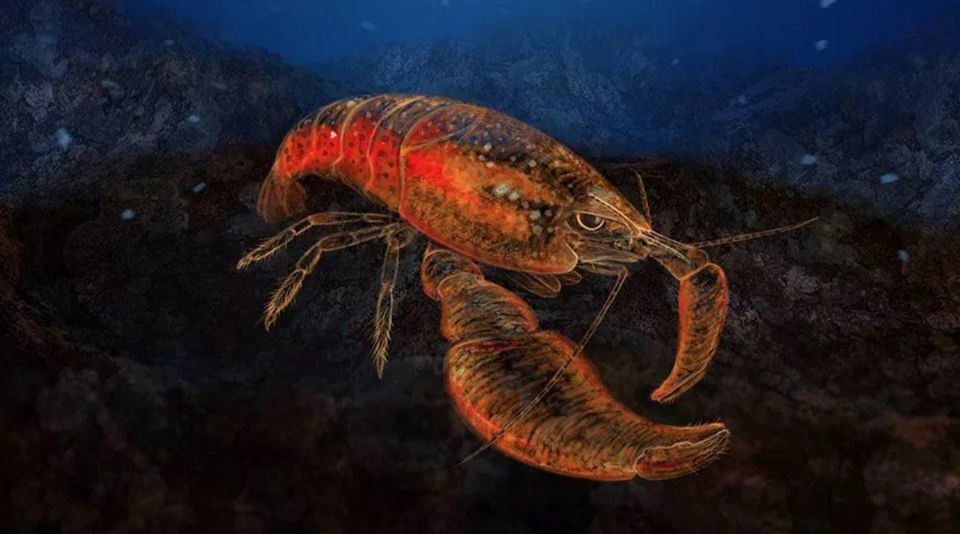 Supertree Toolkit (@S_Toolkit) | Twitter