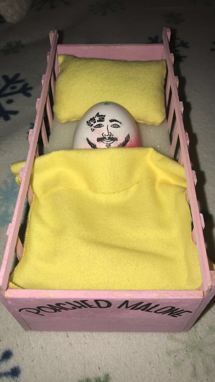 Egg Baby Project