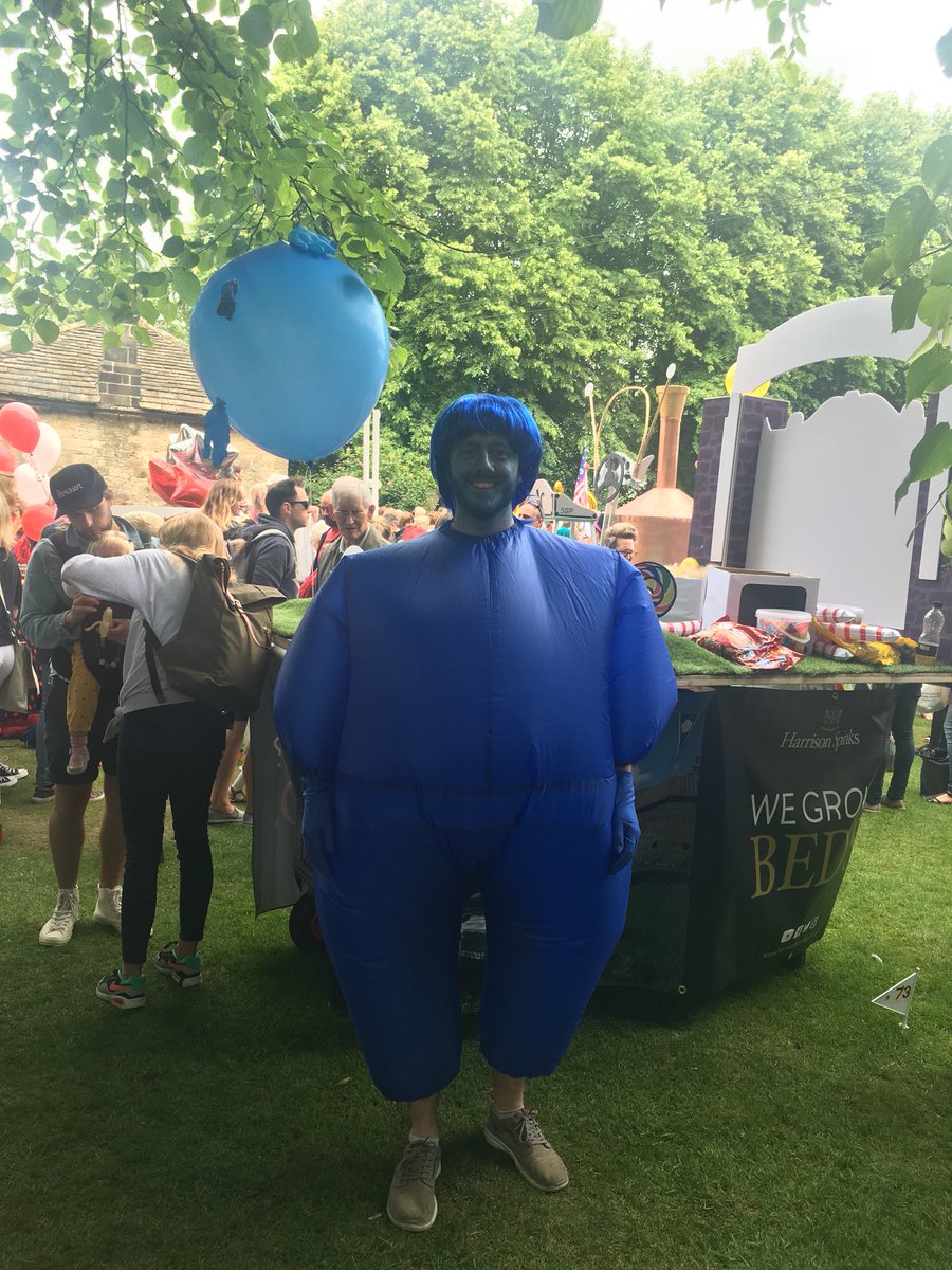 Violet Beauregarde Blueberry Costume