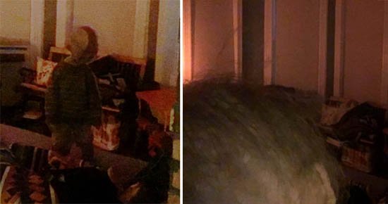 Flagfrog on Twitter: "“ผีเด็กหัวบุบ” จะถูกสร้างเป็นหนังจริงๆแล้วนะ! หลังจากที่ Adam Ellis อัพเดต ...