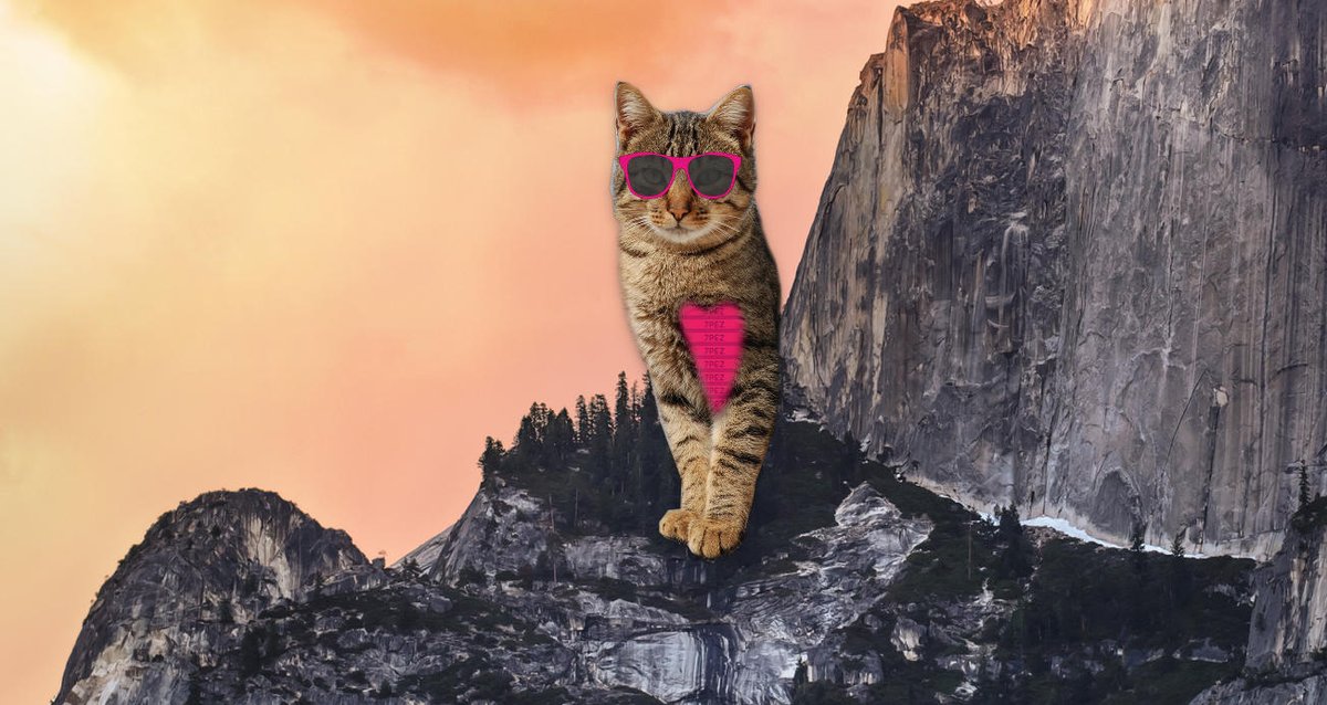 Martin Fitzpatrick (@mfitzp) | Twitter