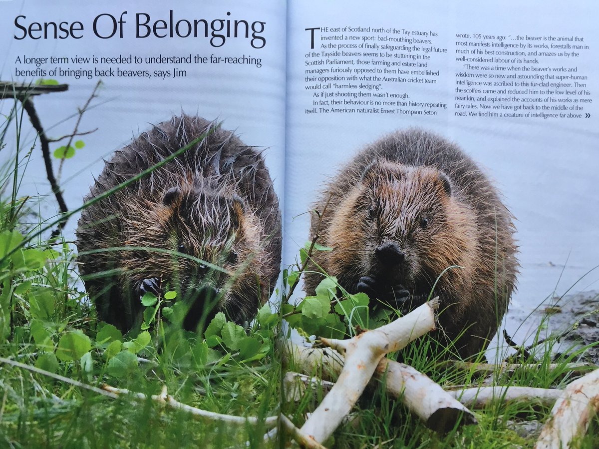 Sam Gandy (@SamwiseGandy) | Twitter