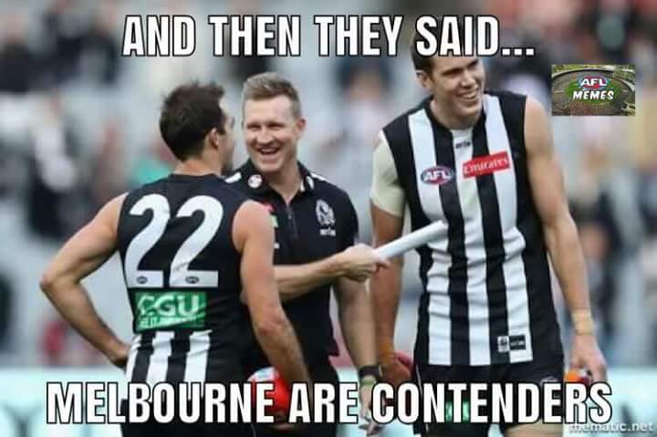 Melbourne Fc Memes The Home Of North Melbourne Fans 🦘 | You