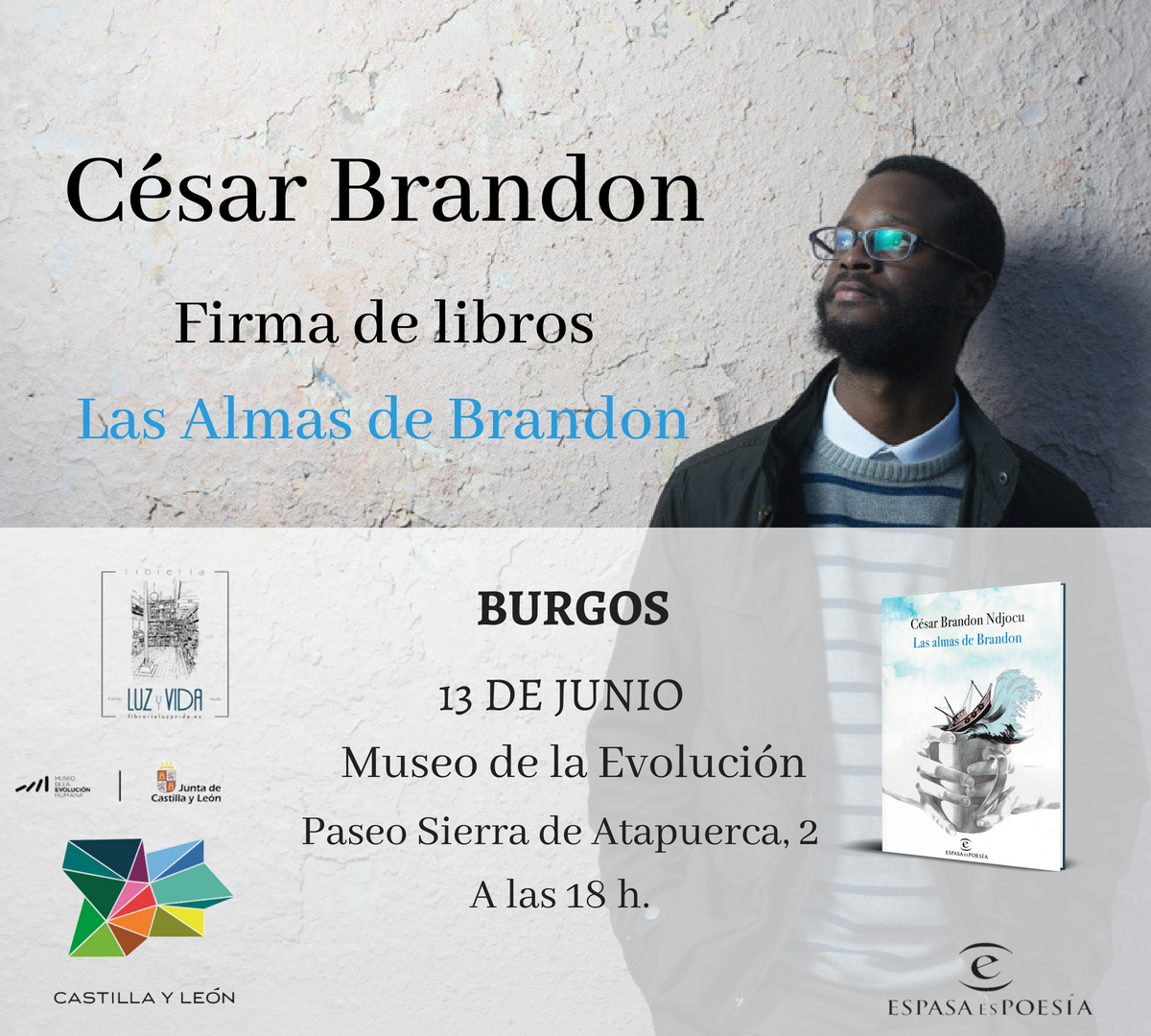 Cesar Brandon Libro Las Almas De Brandon - Leer un Libro