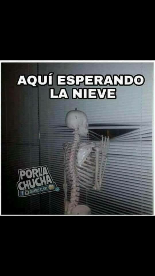 Esqueleto Esperando Meme