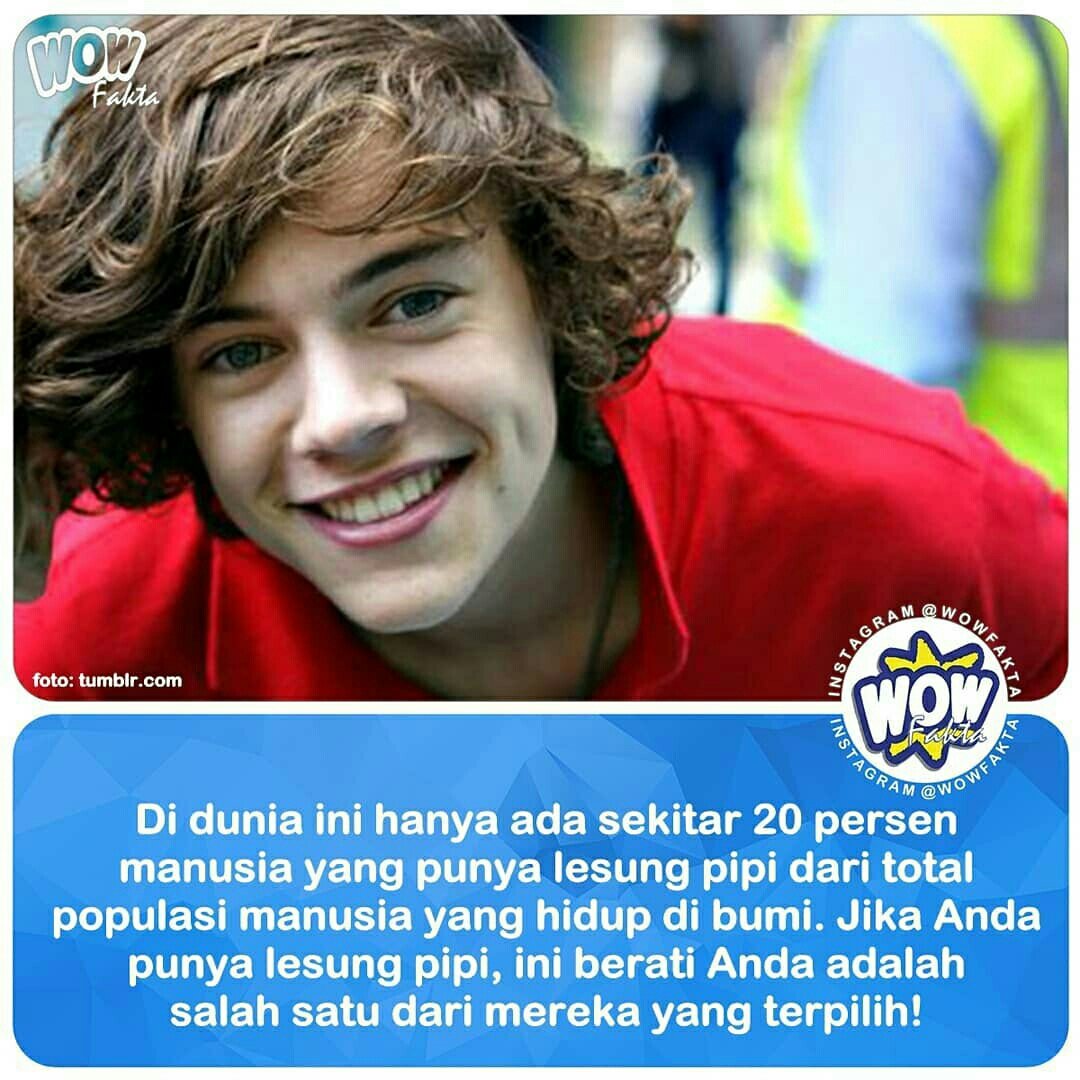 Kata Kata Lucu Tentang Lesung Pipi Gerbanglucu