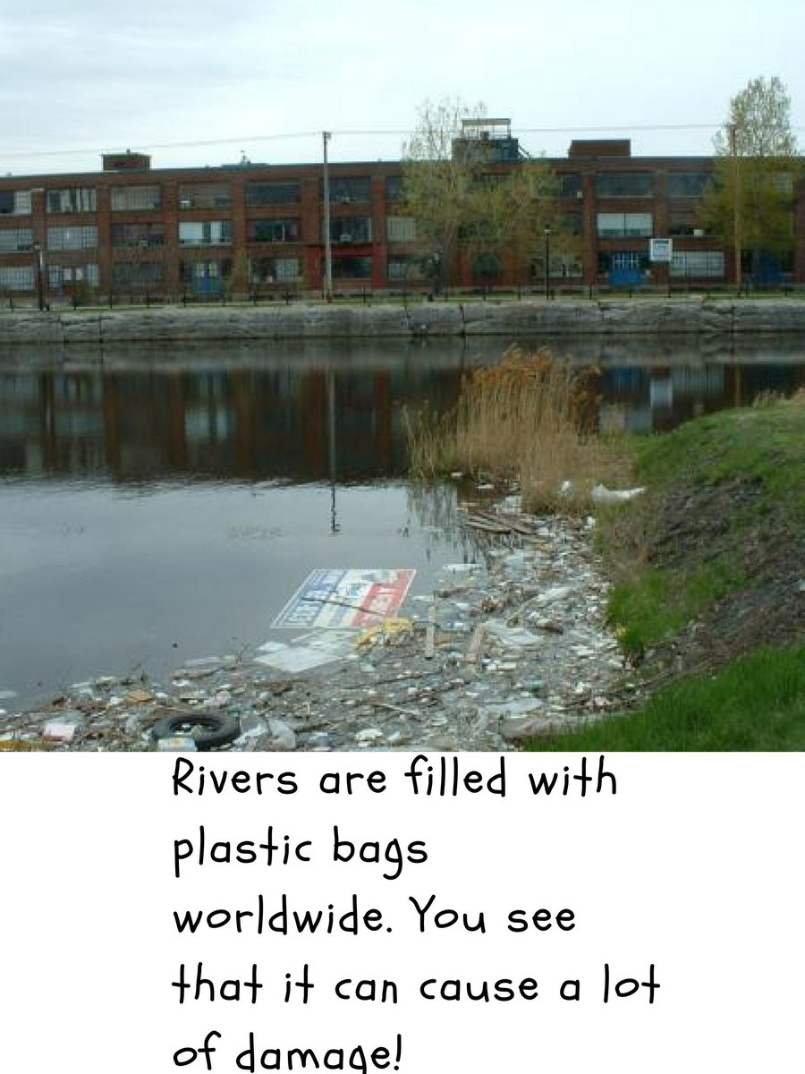 EINY_GoGreen (@EINY_6thgrade) | Twitter