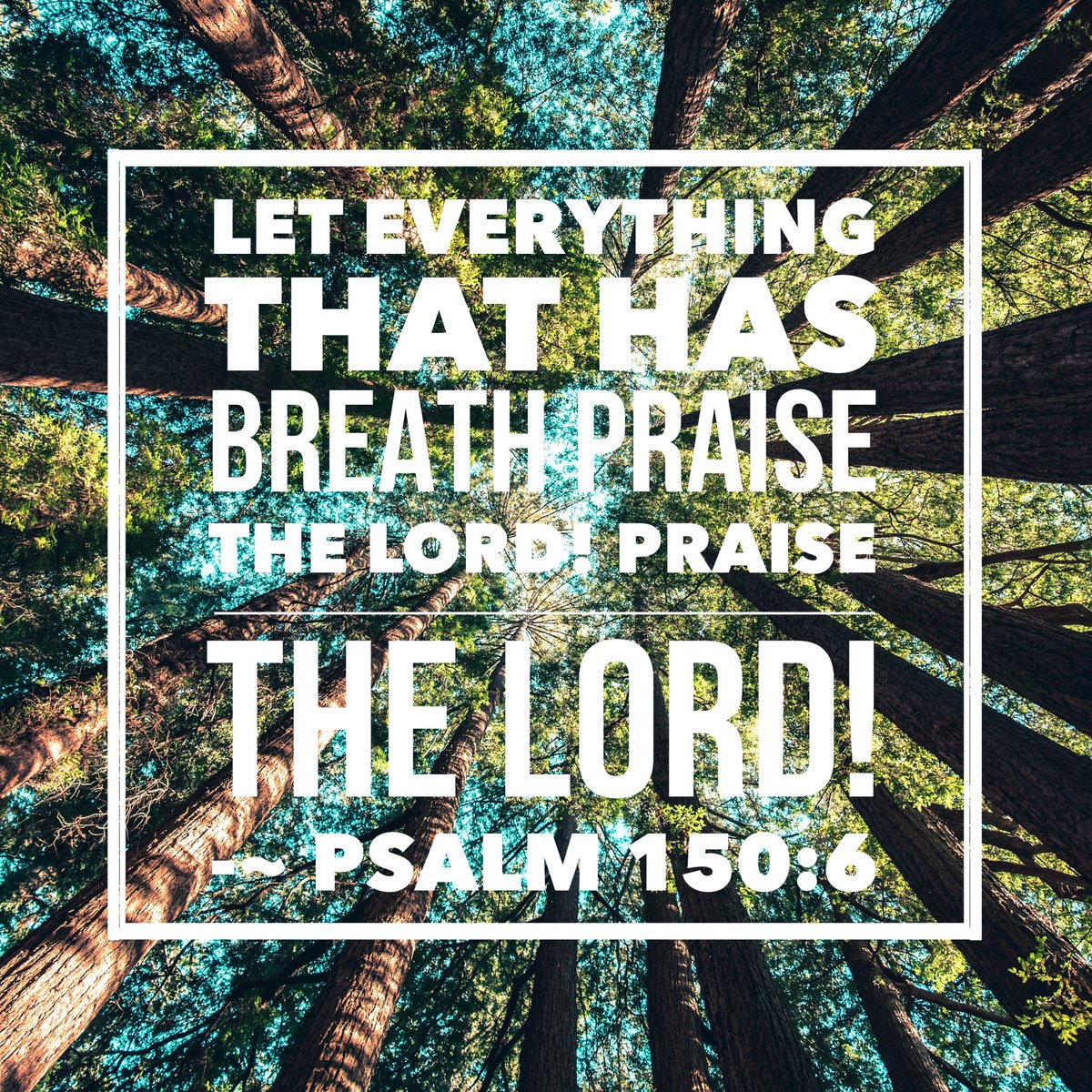 Let Everything That Has Breath Praise The Lord Backgrounds