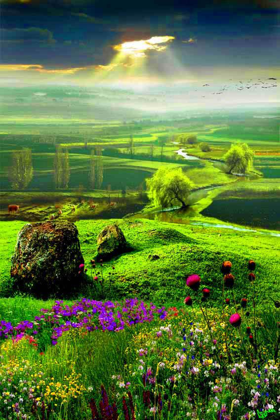Good Morning Landscape Scenery FlixImages Good Morning Nature Images