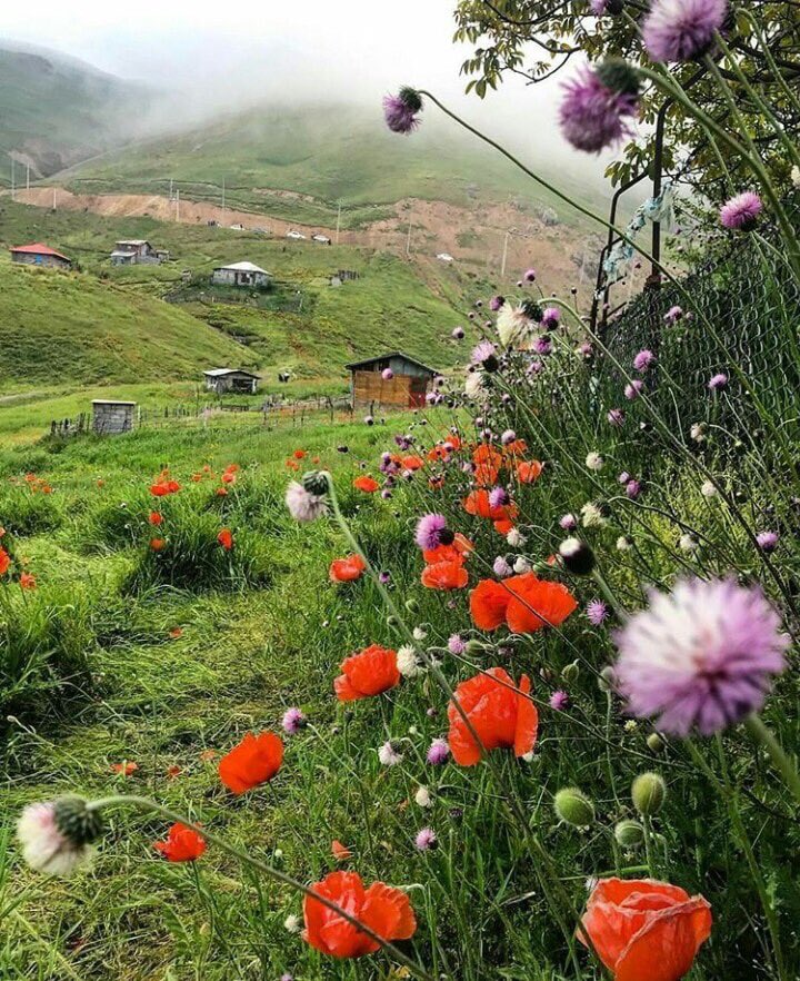 Beautiful Landscape Iran