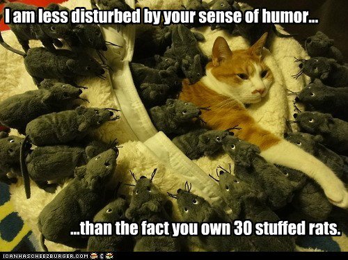 Disturbed Cat Meme
