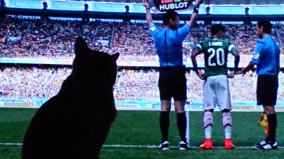 Ivan Romanenko (@IvanRomanenko75) | Twitter