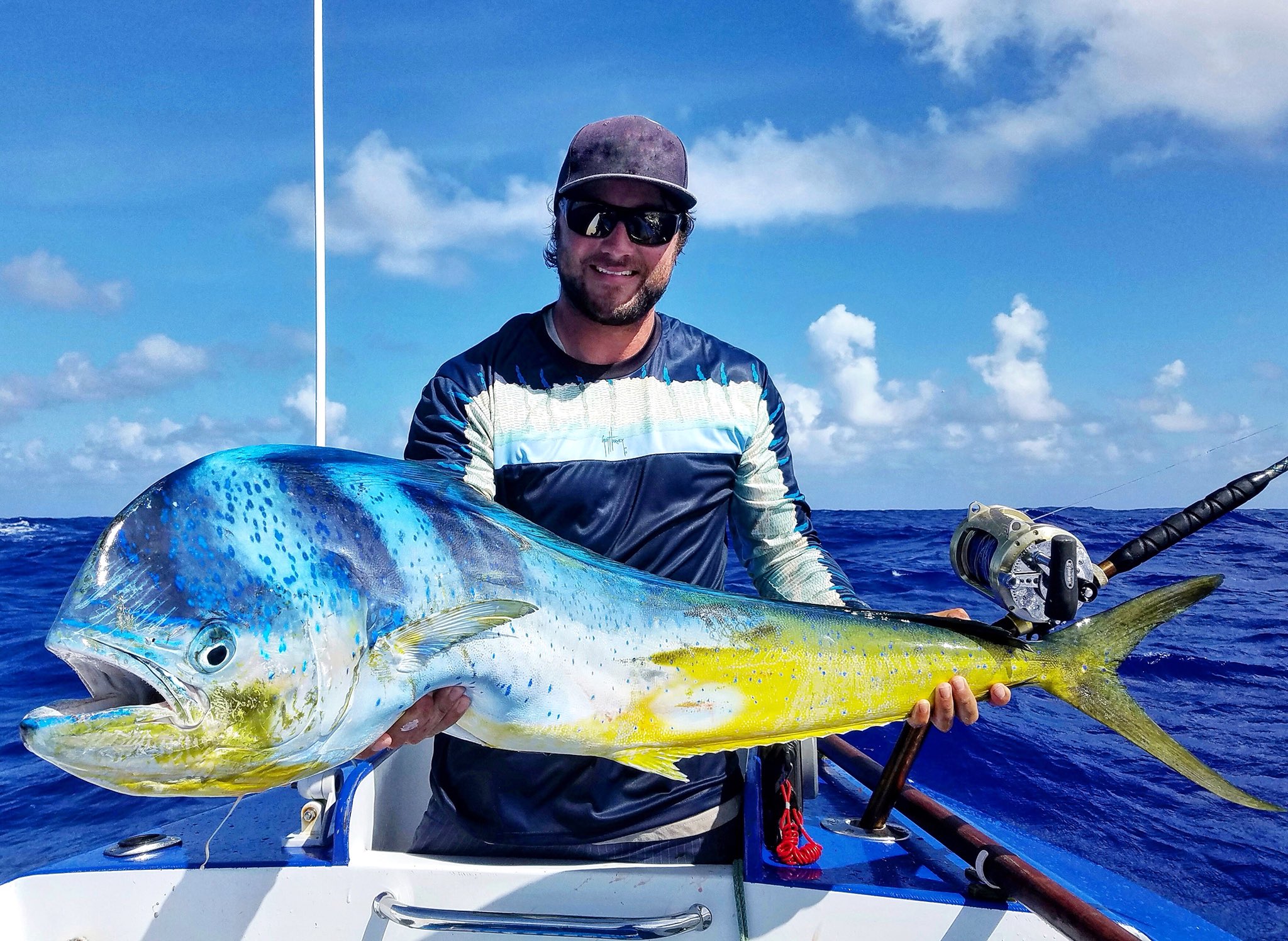 Mahi Mahi Gars Harvey