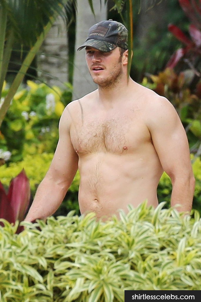 Mike Holmes Jr Shirtless