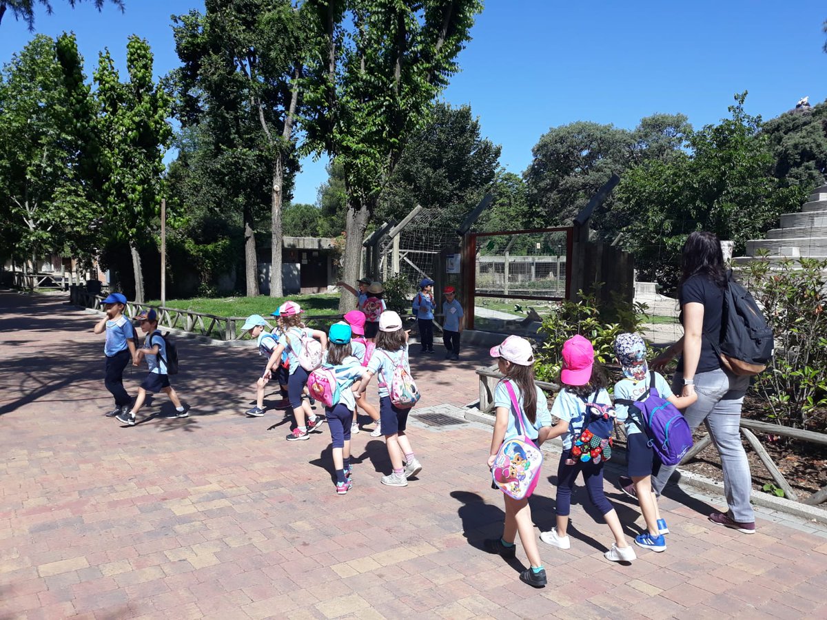 LAS CLASES DE 5 AÑOS VAN DE EXCURSIÓN AL ZOO – Colegio Carlos III