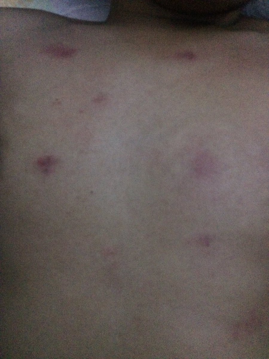 ฝังมุกด้วยตัวเอง (@bi_pheem) | Twitter