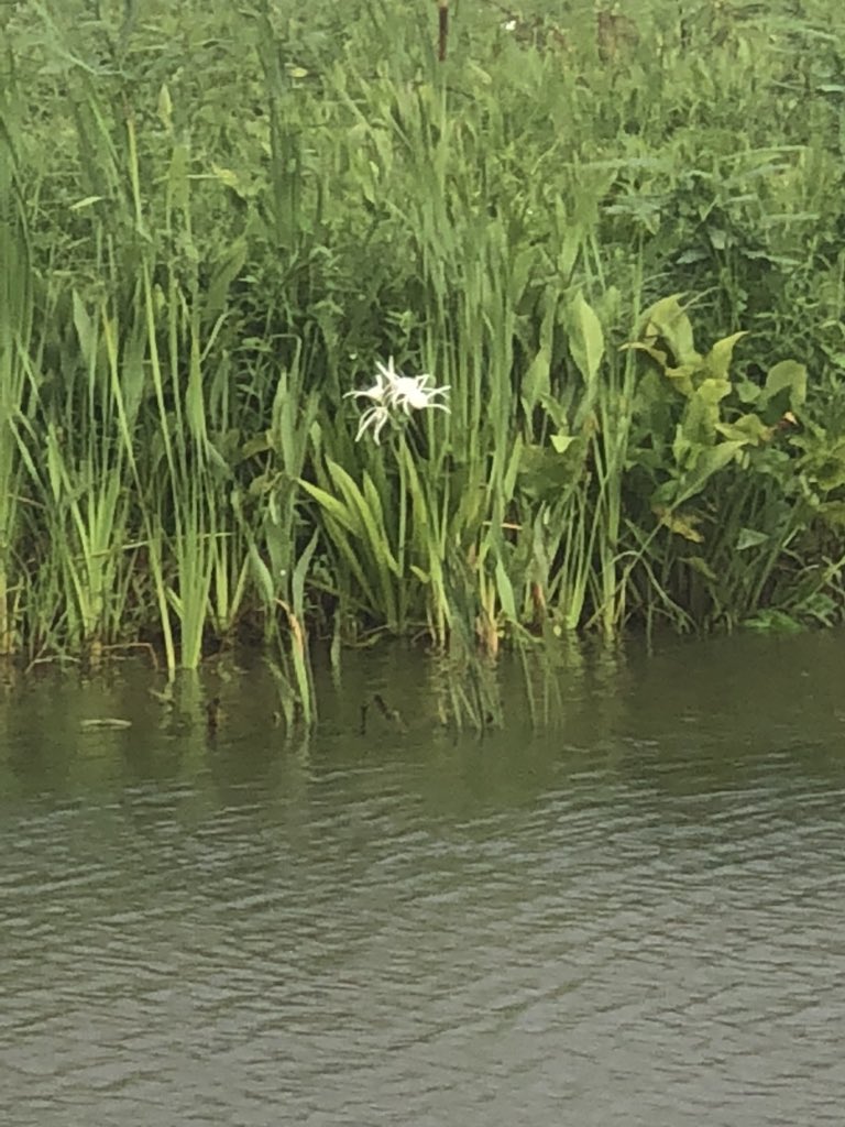 Ms. Busby's 5th (@5thGrade_Busby) | Twitter