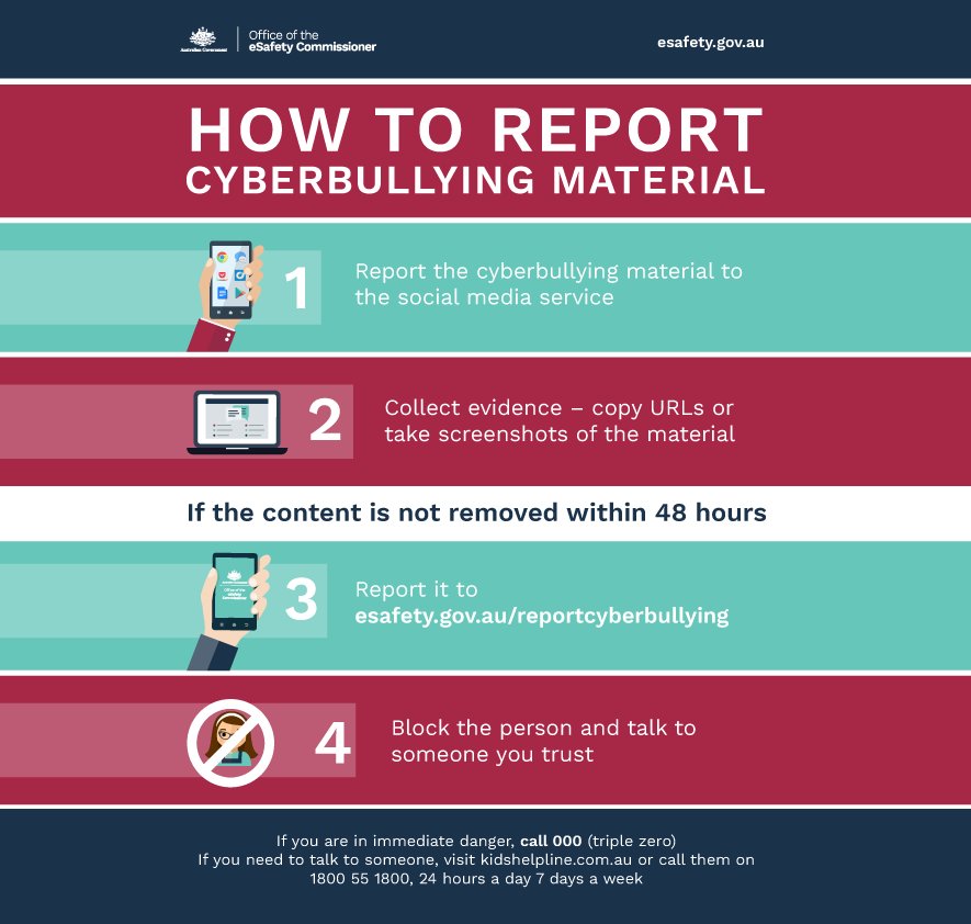 Report Cyberbullying