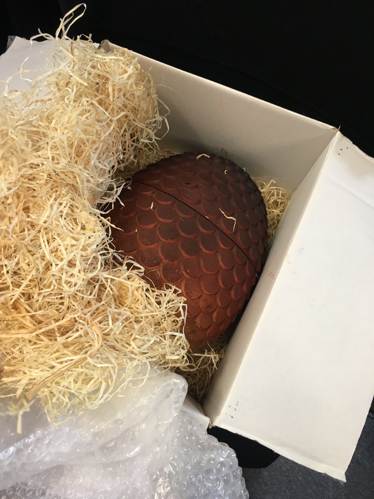Real Dragon Egg