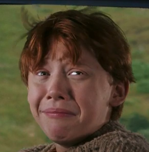 Ron Weasley Scared Gif