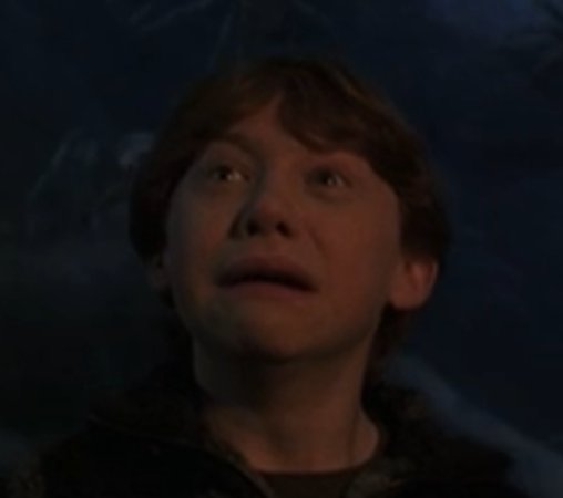 Ron Weasley Scared Face