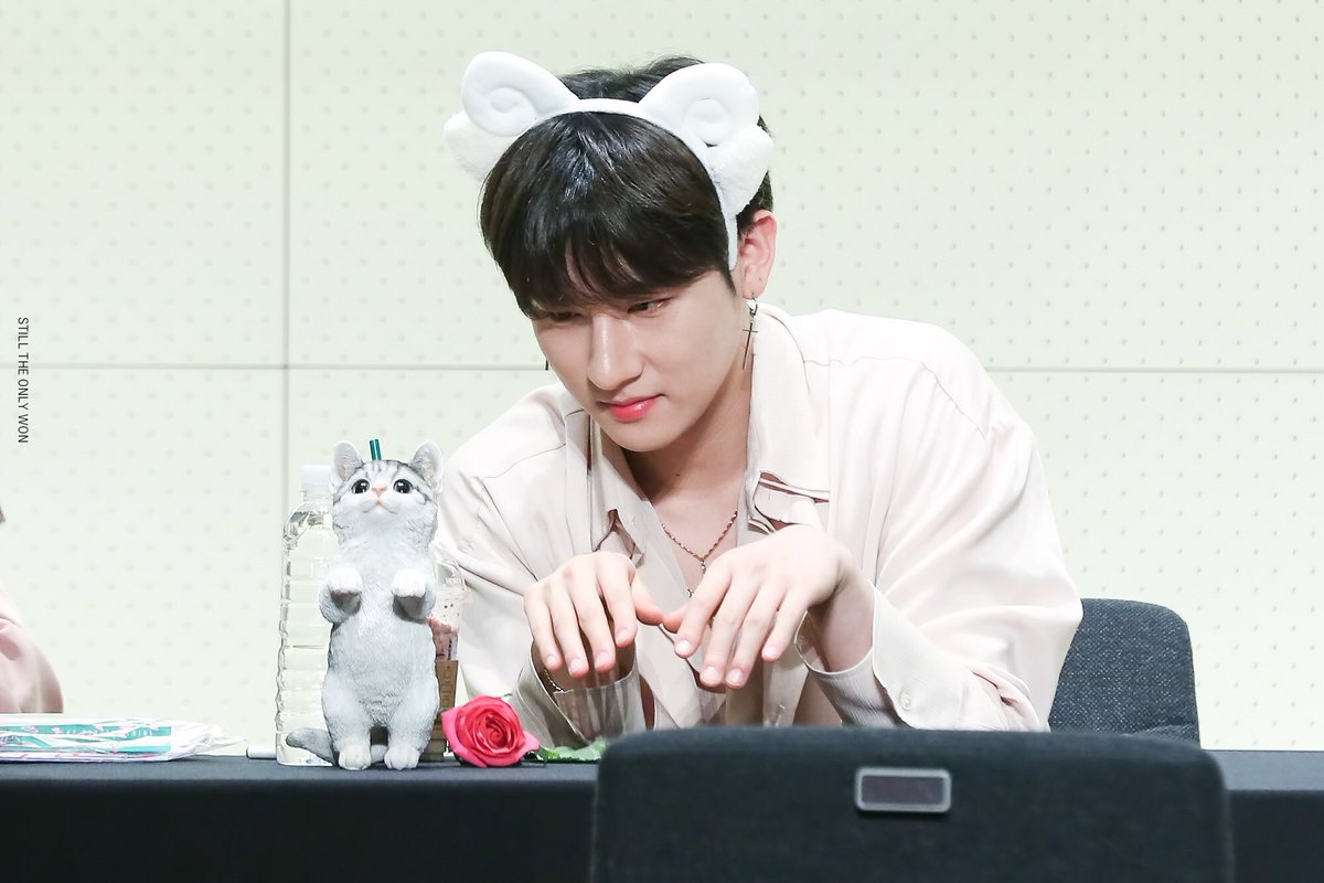 Who is the cutest kpop cat?? : r/kpopthoughts