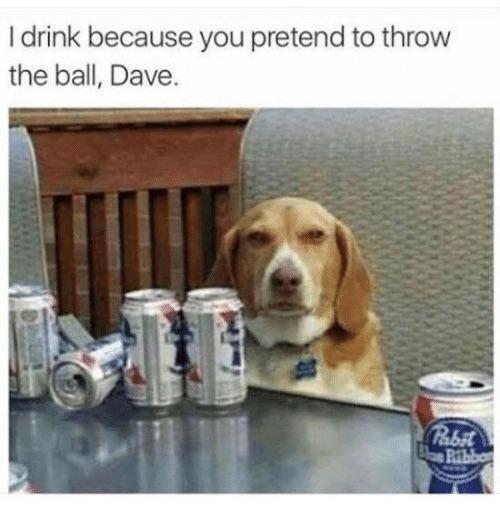 Dave Meme