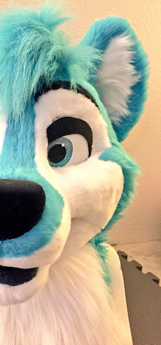 Top 10 husky fursuit ideas and inspiration
