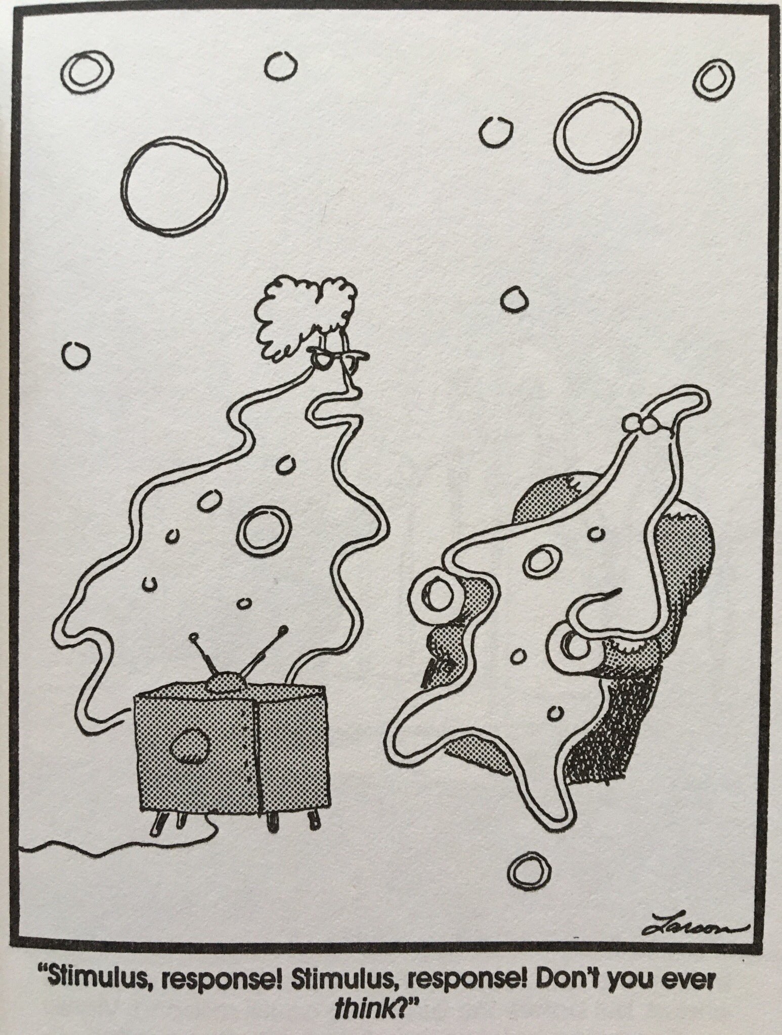 Gary Larson Amoeba Cartoon