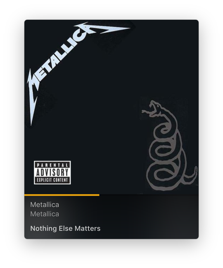 Nothing Else Matters Metallica Album Cover