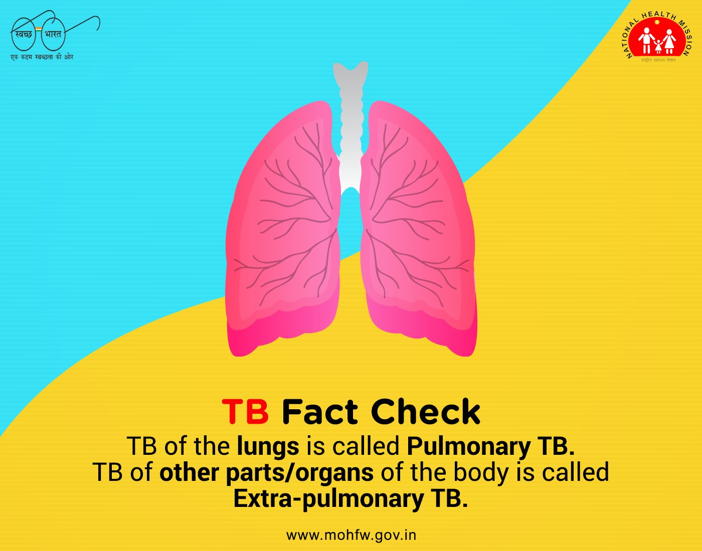 Tuberculosis Lungs Diagram