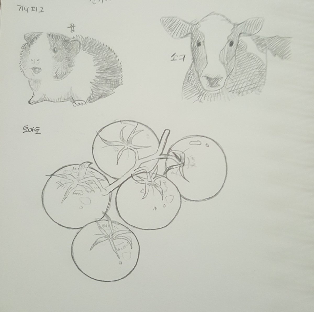 동아여고 UNIC (@DONGA_UNIC) | Twitter