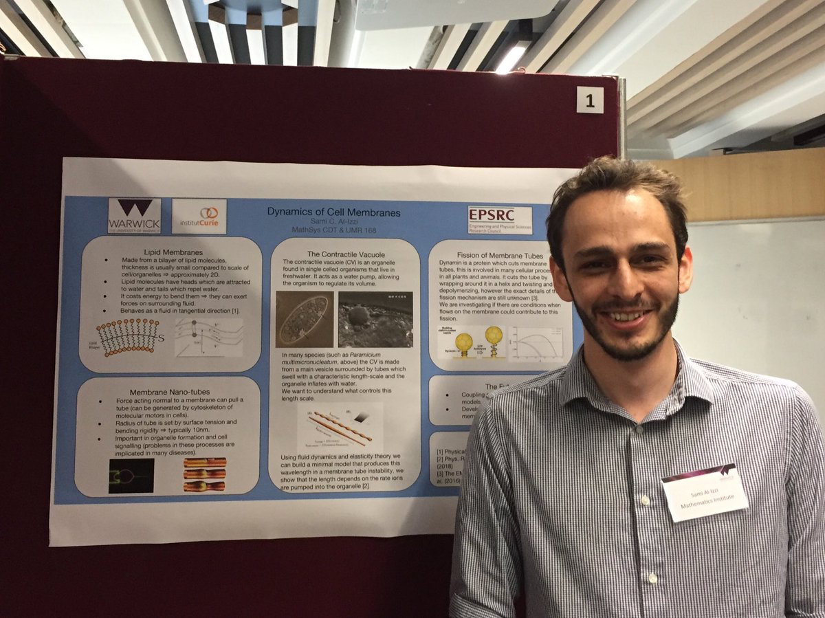 Sami Al-Izzi (@scalizzi1) | Twitter