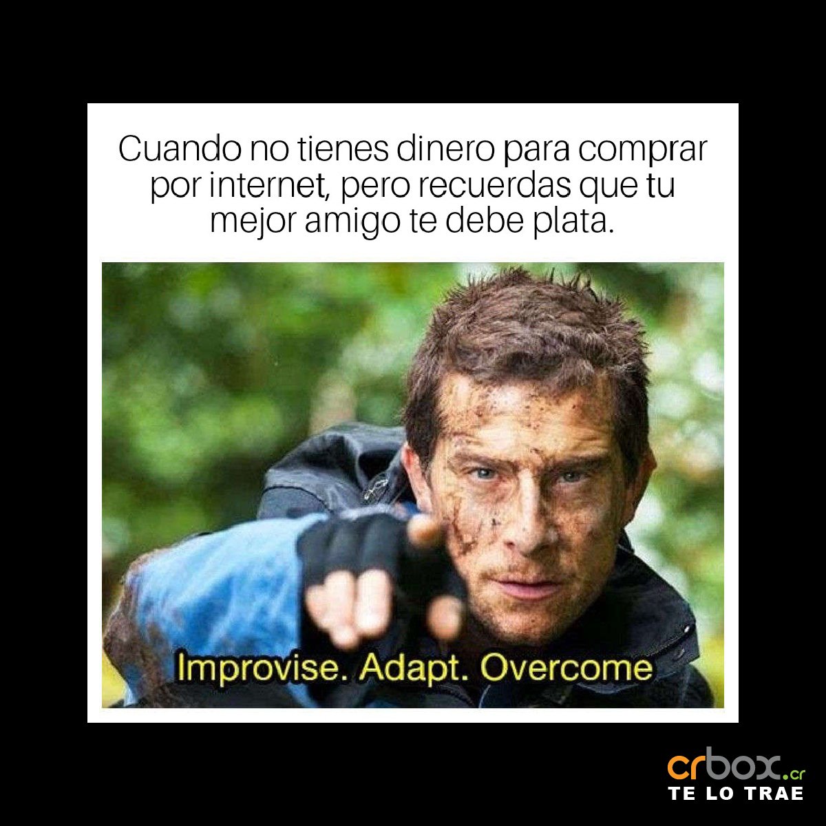 Memes La Plata