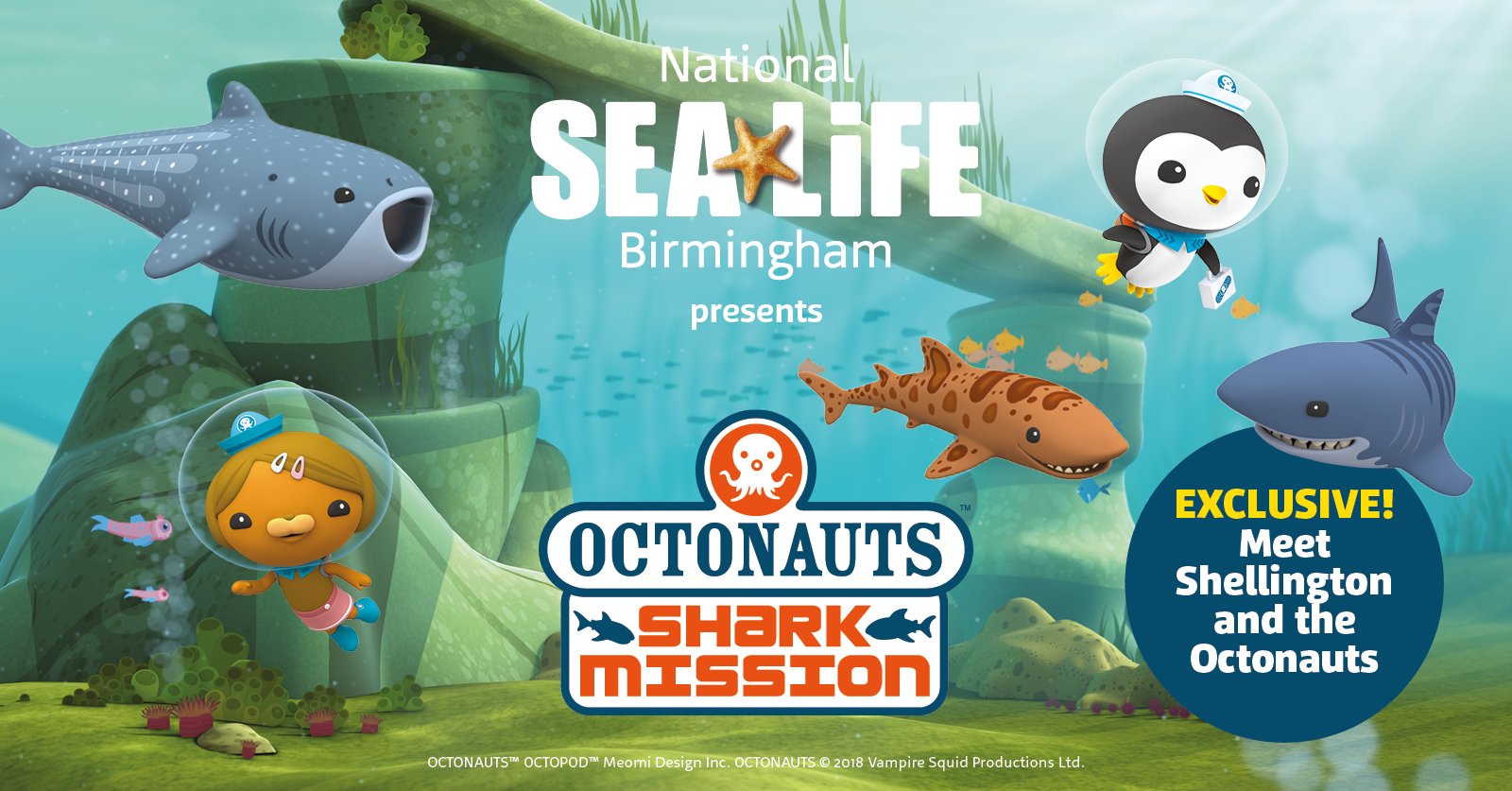 Octonauts Sea Animals 🐠 OCTONAUTS Creatures In Real Life CREATURE