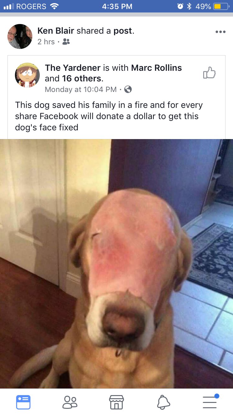 Lunch Meat Face Memes Funny Cute Fast Food Hamburger Sandwich Hot Dog