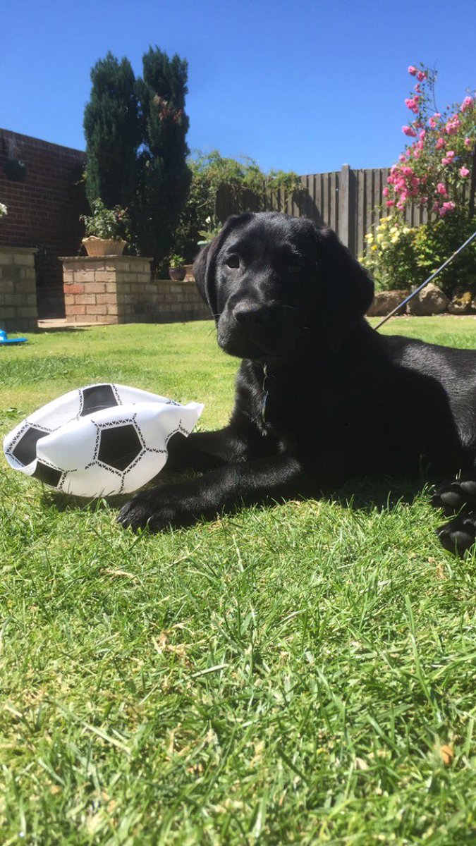 Danny Hackney (@Danny_Hackney) | Twitter