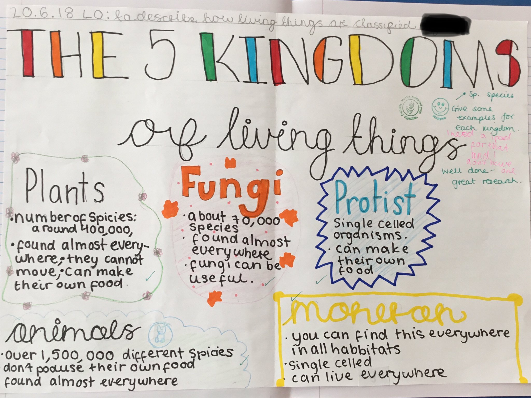 Linnaeus Classification System For Kids