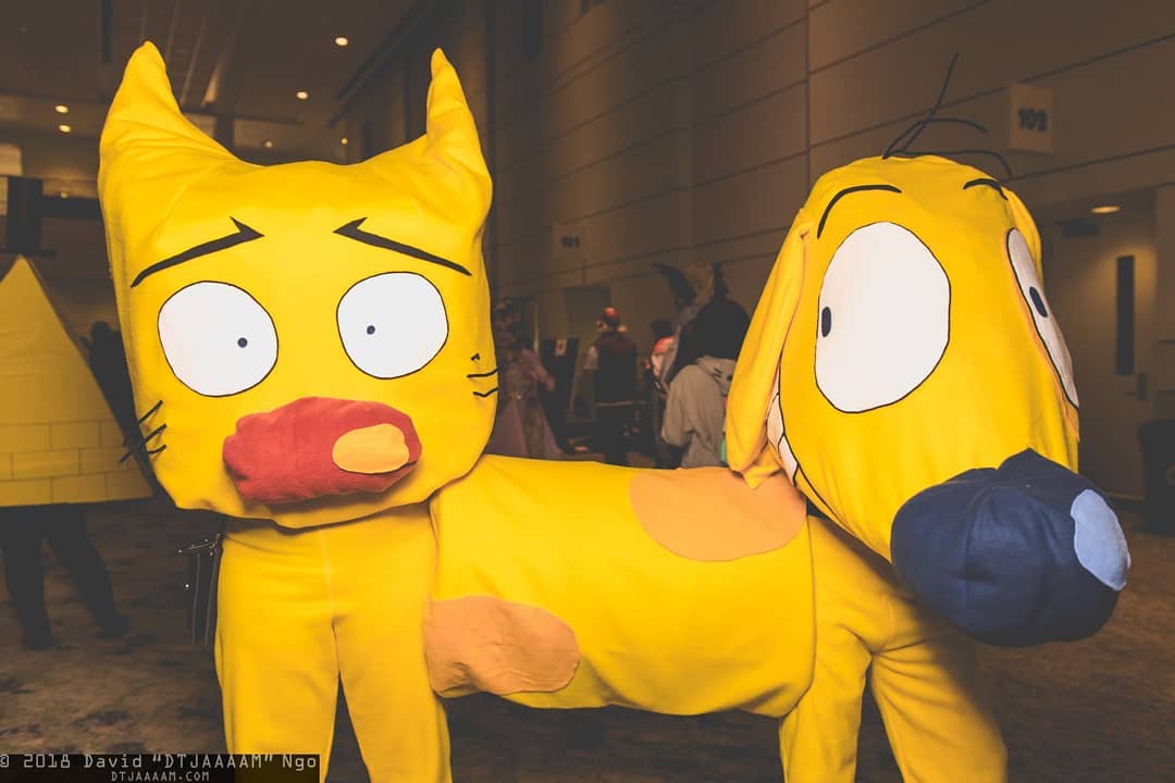 Catdog Costume