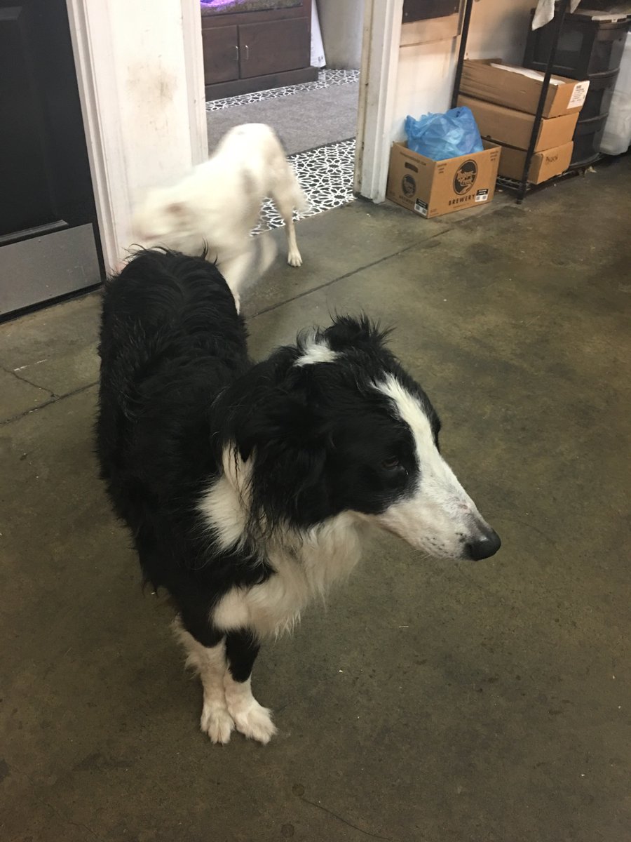 David Basabe (@DavidBasabe) | Twitter