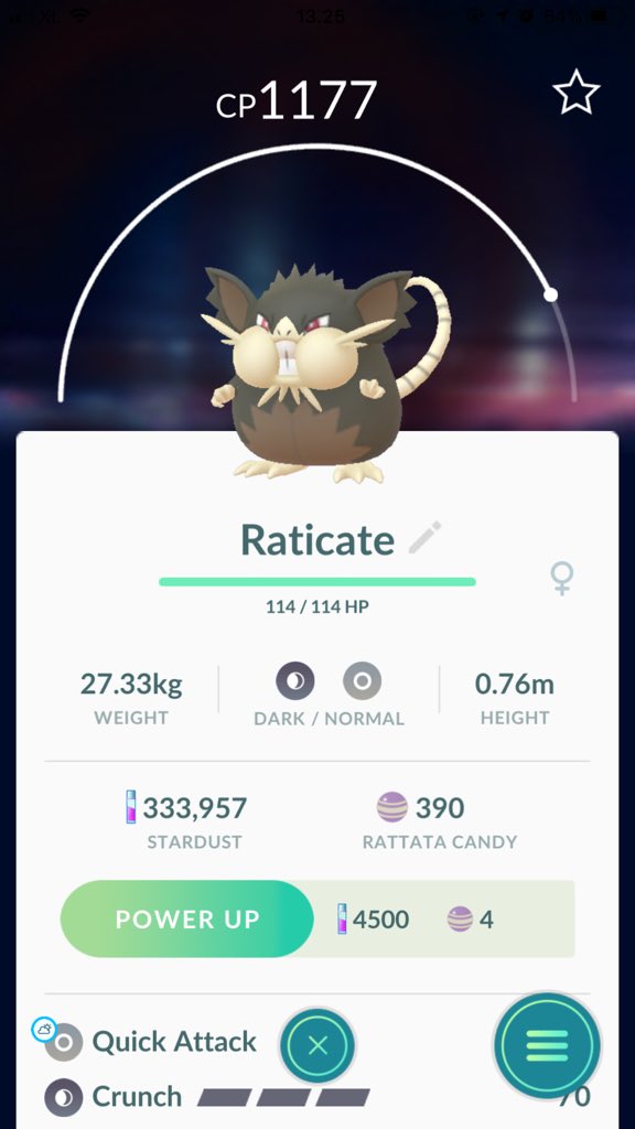 At What Level Does Rattata Evolve