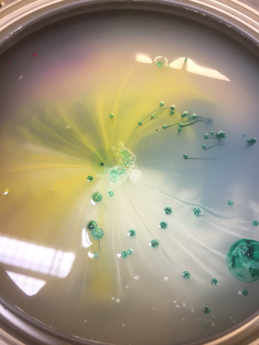 David Parks (@DParks_THD) | Twitter