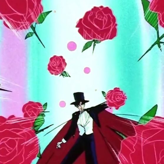 Tuxedo Mask Rose