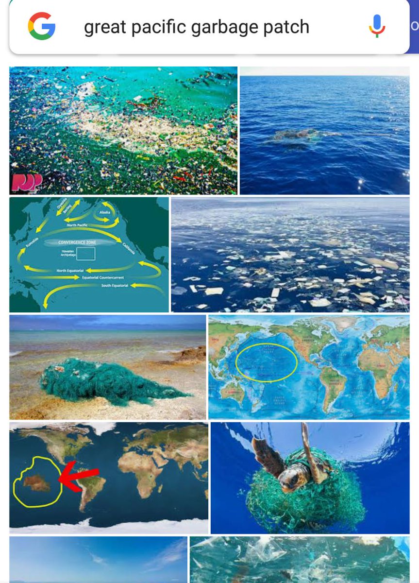 saurav on Twitter: "The Great Pacific garbage patch, also described as ...