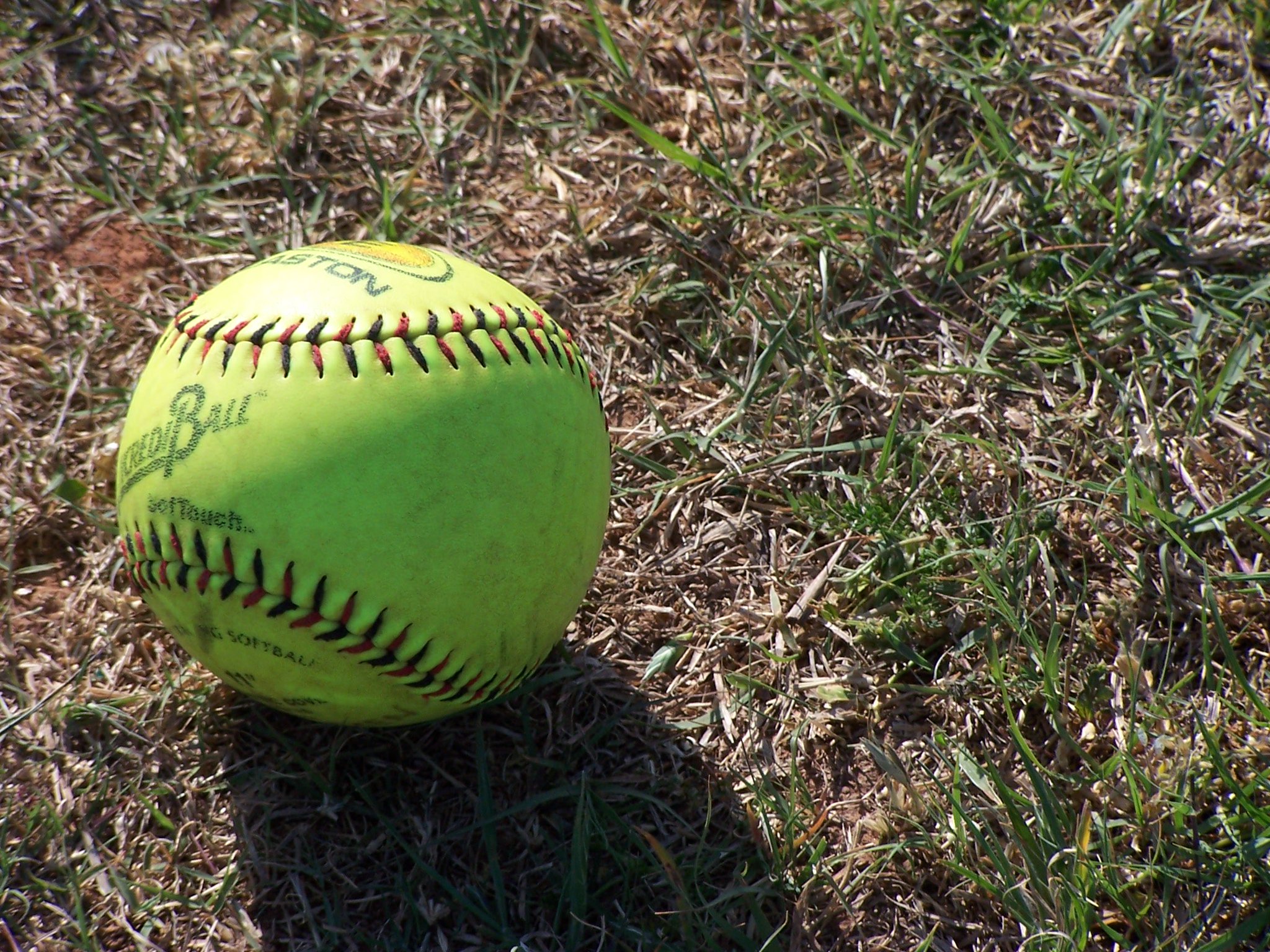 World Herald Sports On Twitter The 2018 All Nebraska College Softball world-herald-sports-on-twitter-the-2018-all-nebraska-college-softball