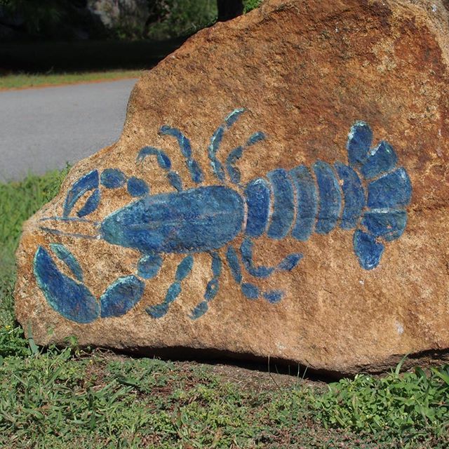 Split Colored Lobster